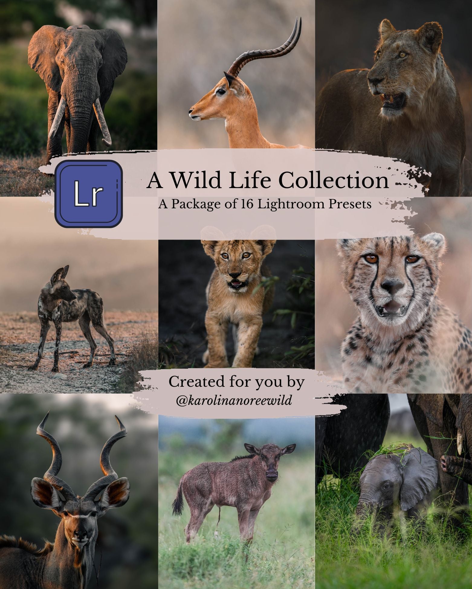 A Wild Life Presets – Karolina Norée Printstore